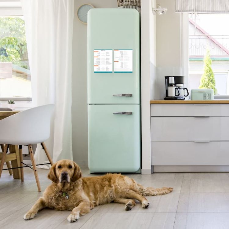 Spanish – TalkBox.Mom