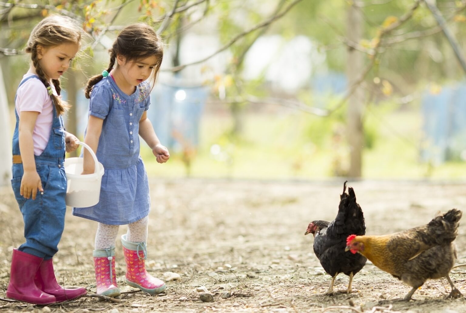 Fluency Family Farm – TalkBox.Mom